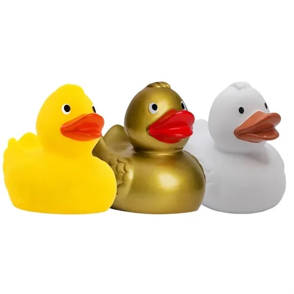 Duck With Wings | EverythingSwag USA