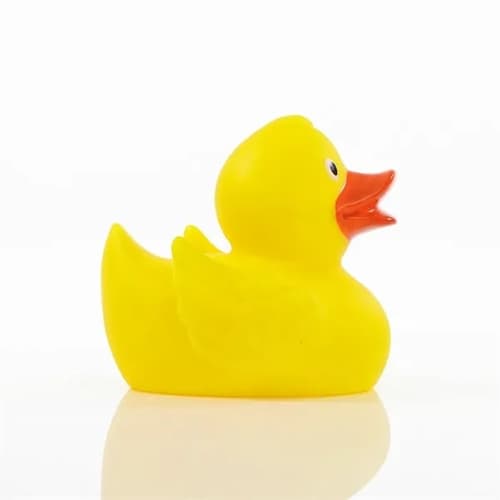 Duck With Wings | EverythingSwag USA